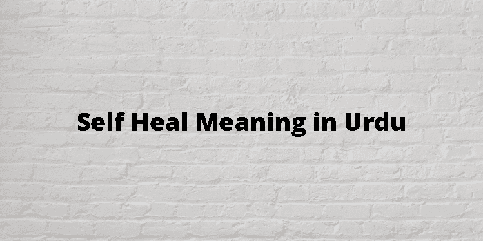 Self Heal Meaning In Urdu - اردو معنی