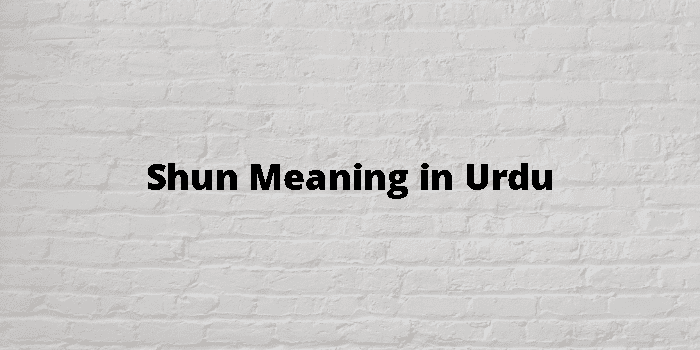 Shun Meaning In Urdu - اردو معنی