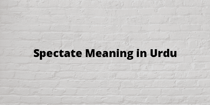 Spectate Meaning In Urdu - اردو معنی