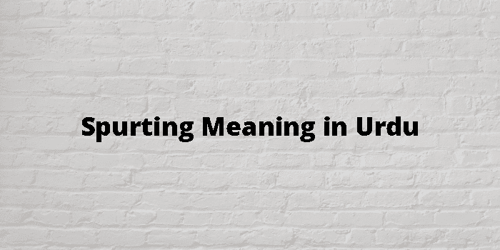 Spurting Meaning In Urdu - اردو معنی