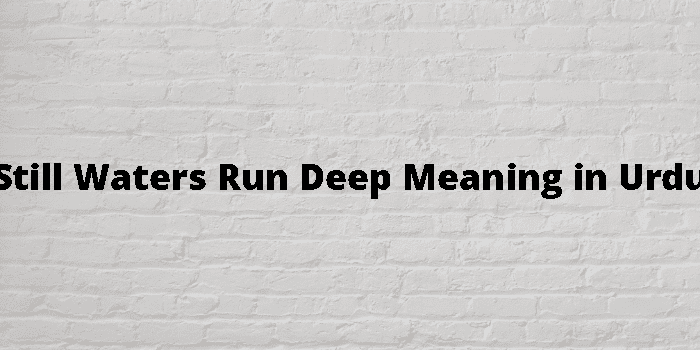 Still Waters Run Deep Meaning In Urdu - اردو معنی