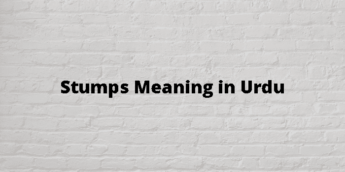 Stumps Meaning In Urdu - اردو معنی