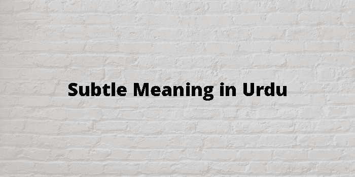 Subtle Meaning In Urdu - اردو معنی