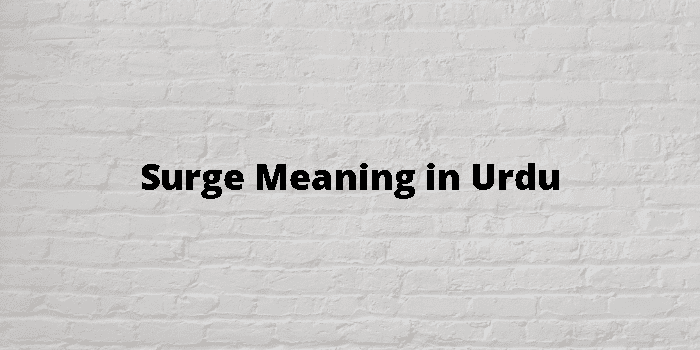 Surge Meaning In Urdu - اردو معنی