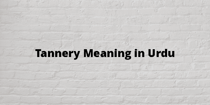 Tannery Meaning In Urdu - اردو معنی