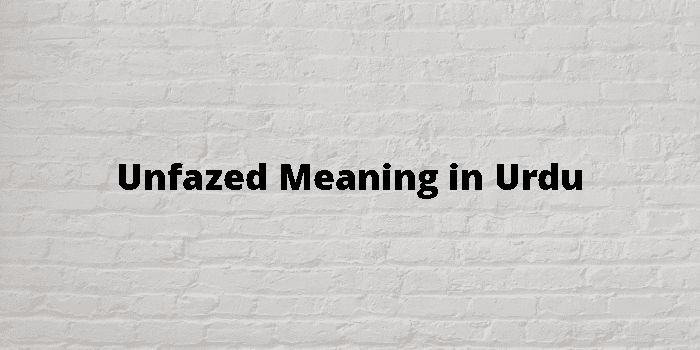 Unfazed Meaning In Urdu - اردو معنی
