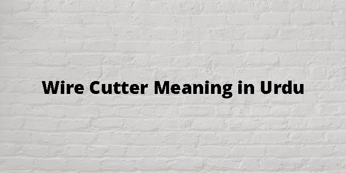 Wire Cutter Meaning In Urdu - اردو معنی