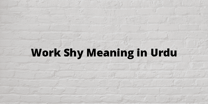Work Shy Meaning In Urdu - اردو معنی